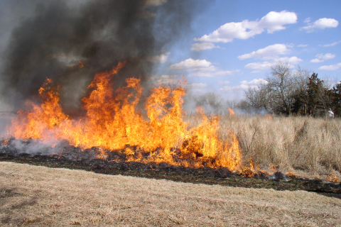Rangeland Programs from the Central Platte NRD | Prescribed Fire Program